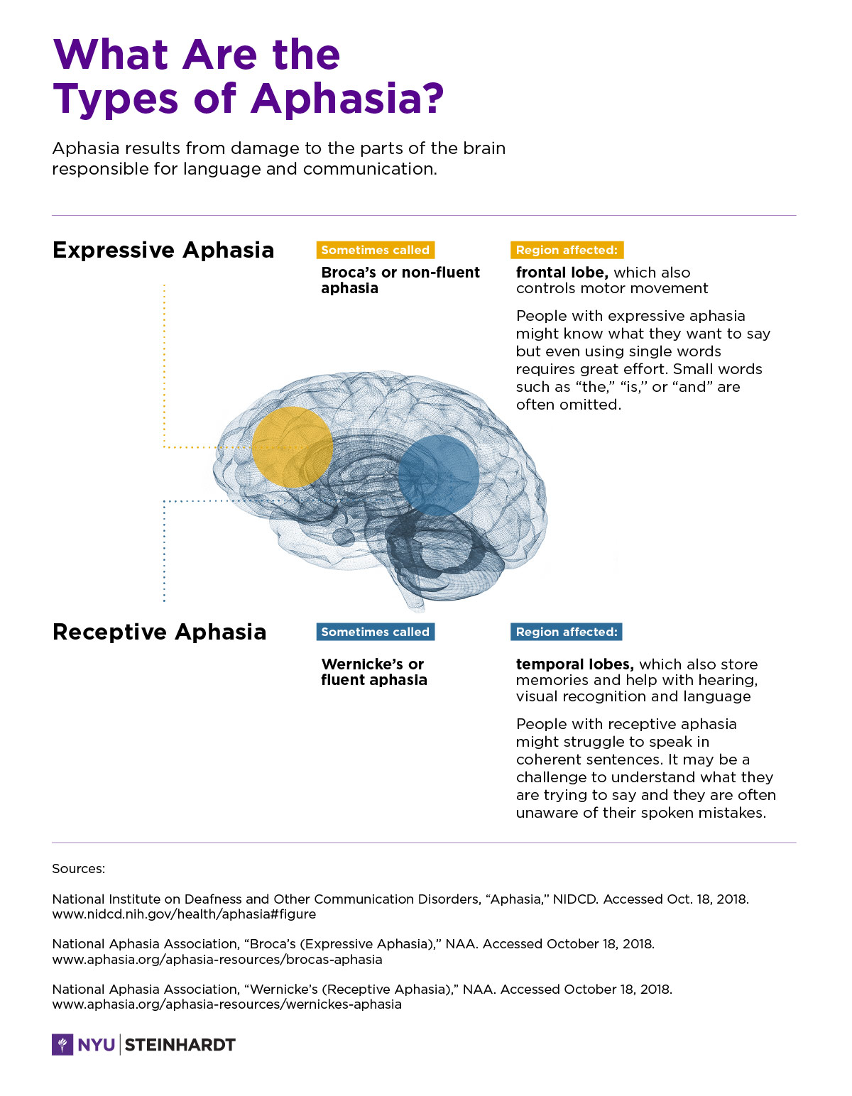 Socializing With Aphasia Speech NYU Socializing With Aphasia Speech NYU